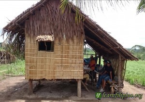 Bahay Kubo or Nipa Hut - Learn Filipino